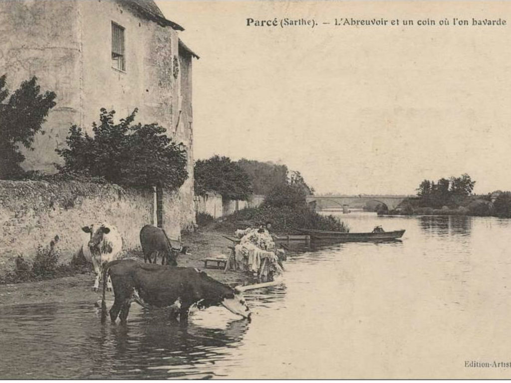 Du douet au lavoir - Patrimoine et lavoirs en Sarthe